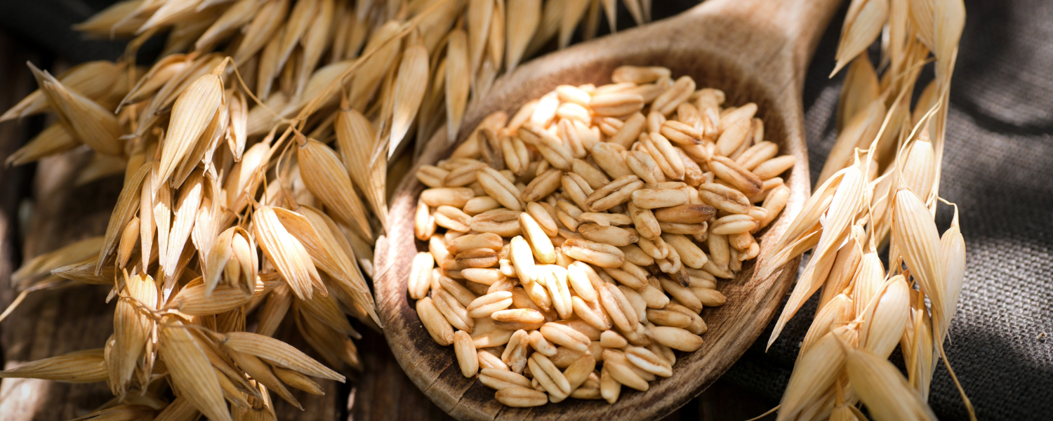 Beneficios de la Avena | Graneria Moreneta