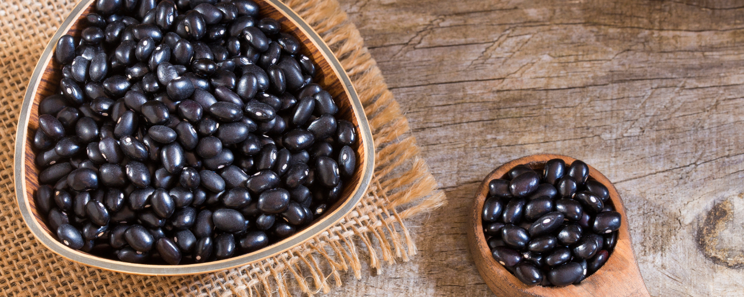 Frijol negro y sus beneficios | Graneria Moreneta